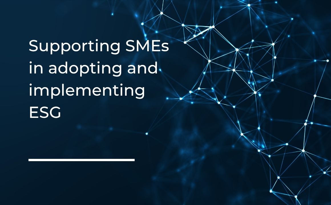 Supporting SMEs in adopting and implementing ESG - Fierce Space Project